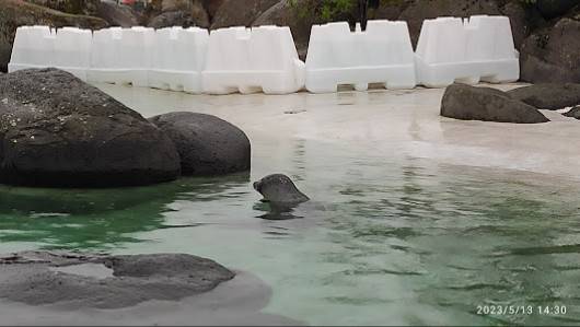 Fjölskyldu- og húsdýragarðurinn - Reykjavík - Bílastæði